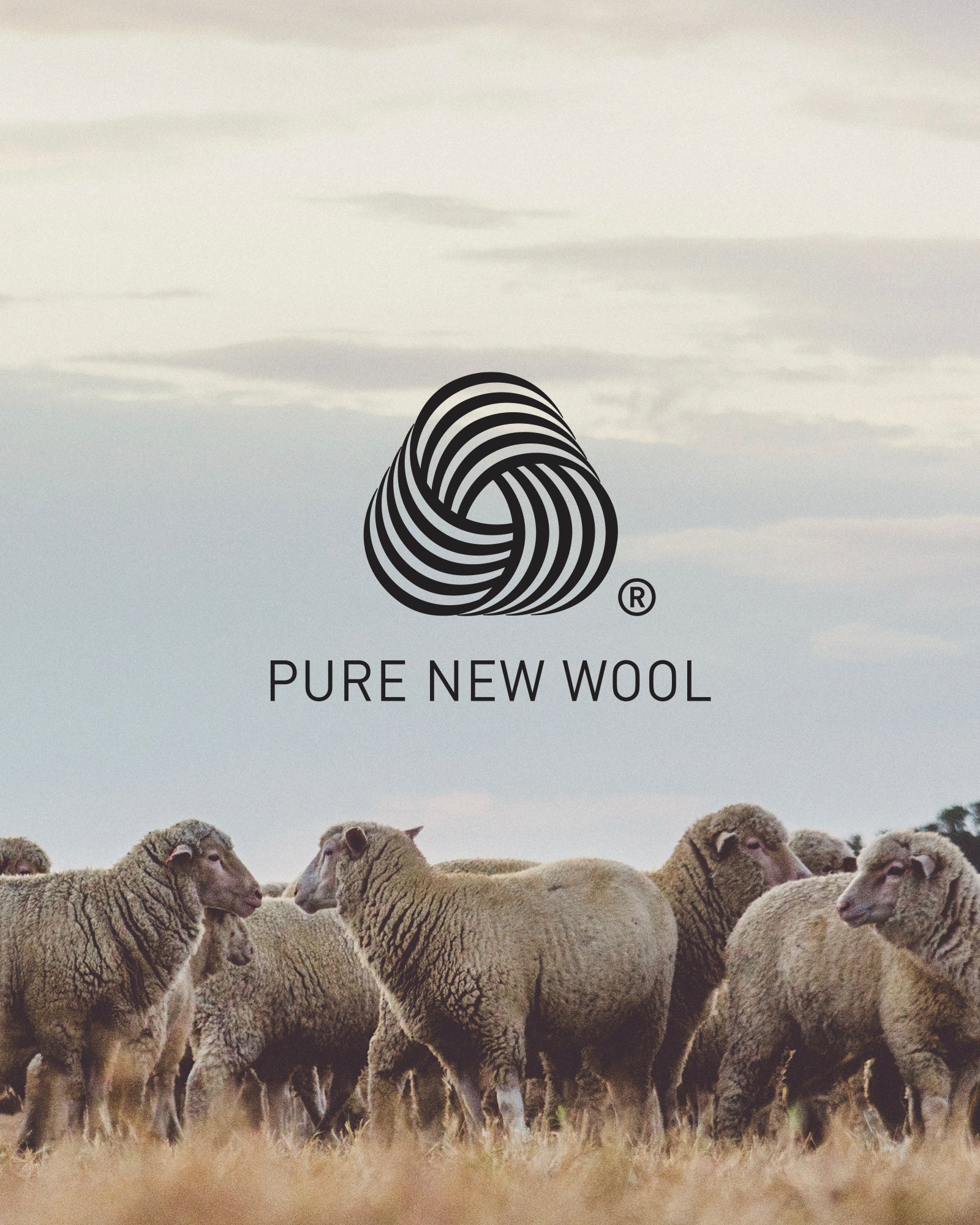 Woolmark® Aussie Merino Wool – XTMPerformanceUSA